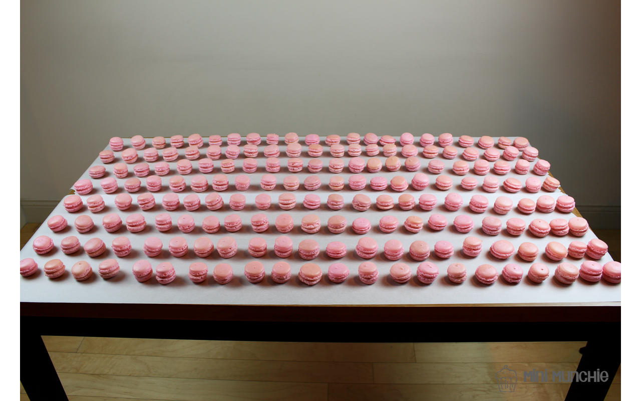 Raspberry Macarons | Mini Munchie
