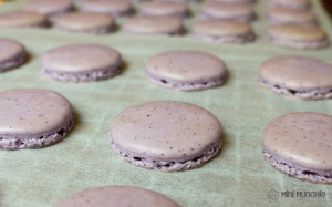 Earl Grey Macarons - Mini Munchie